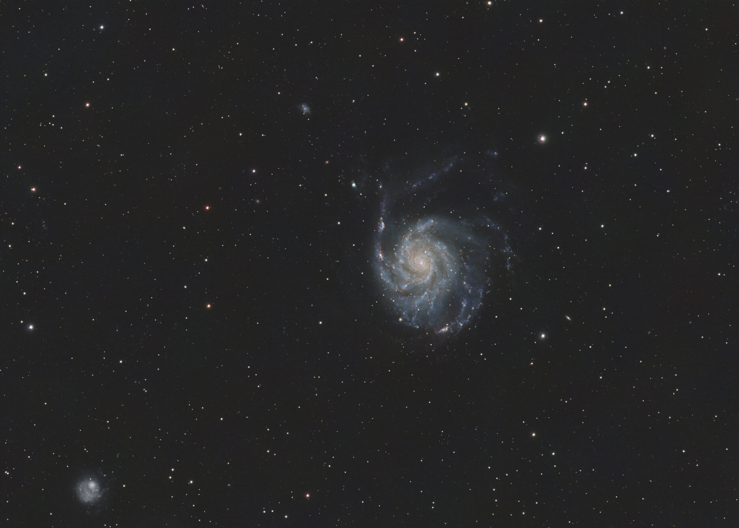 M 101 – Pinwheel Galaxy – Semper Iuvenis Photography